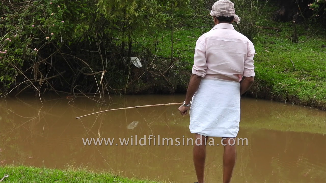 Local fishermen in Munnar, fishing near the High Range Club stream ...