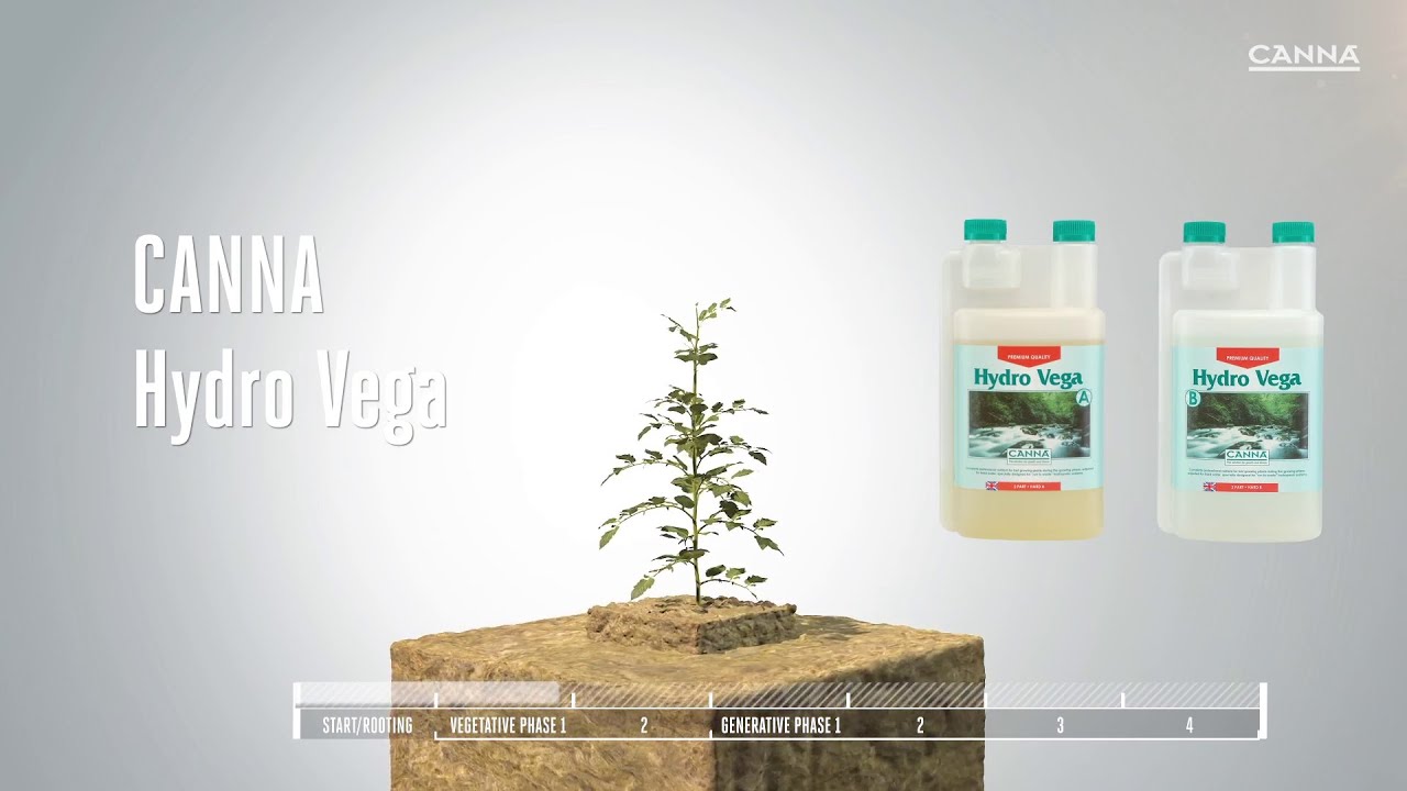 (UK) CANNA Hydro Vega - YouTube