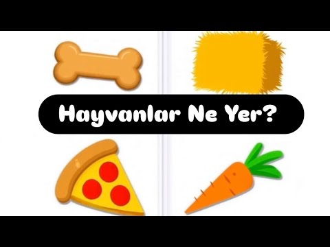 HAYVANLAR NE YER? 🐴🐶🐱 Eğlenceli Tahmin Oyunu | Çocuklar İçin Öğretici Video