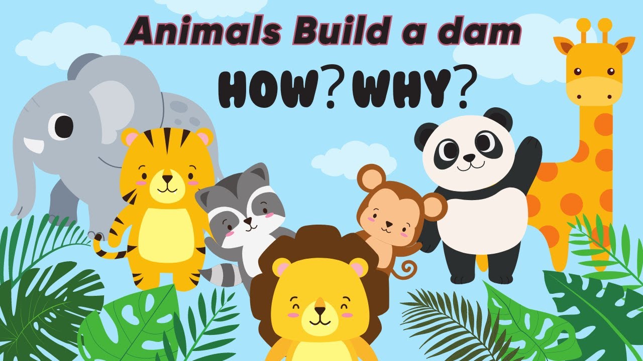 Animals Bulids a dam? How? Why? #braingym #bedtimestories #storytime # ...