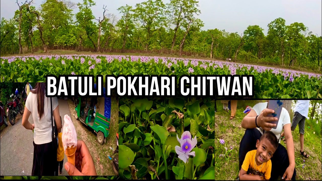 batuli pokhari Bharatpur ghumna gako with family after long time I'm ...