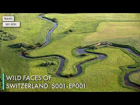 Wild Faces of Switzerland: S01 EP01