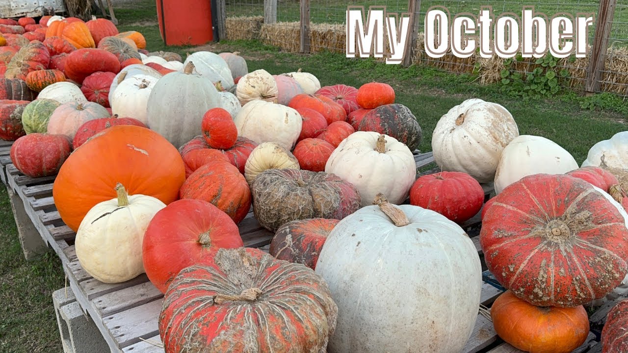 My October | Pumpkin Patch, Football, and Birthdays - YouTube