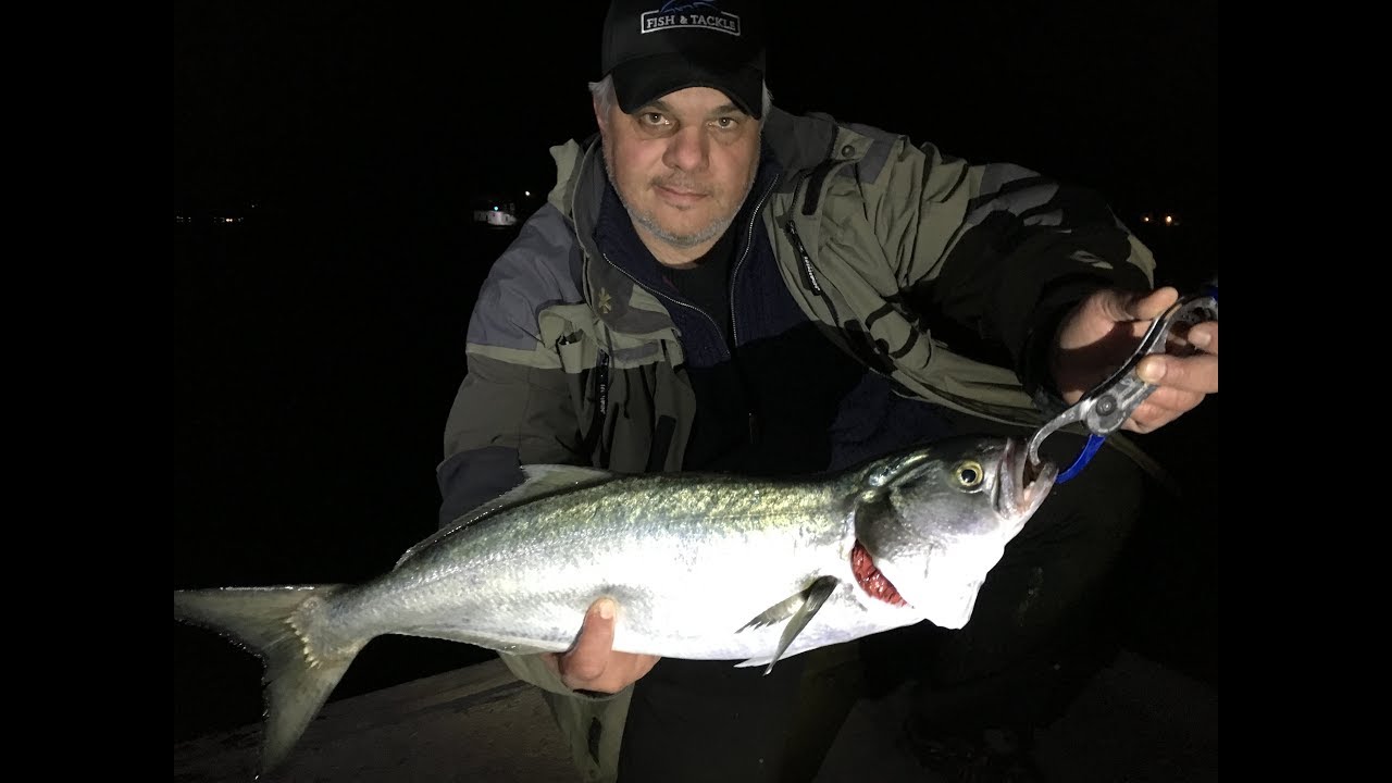 Нощта на големите лефери (трейлър) / Blue fish night fishing - YouTube