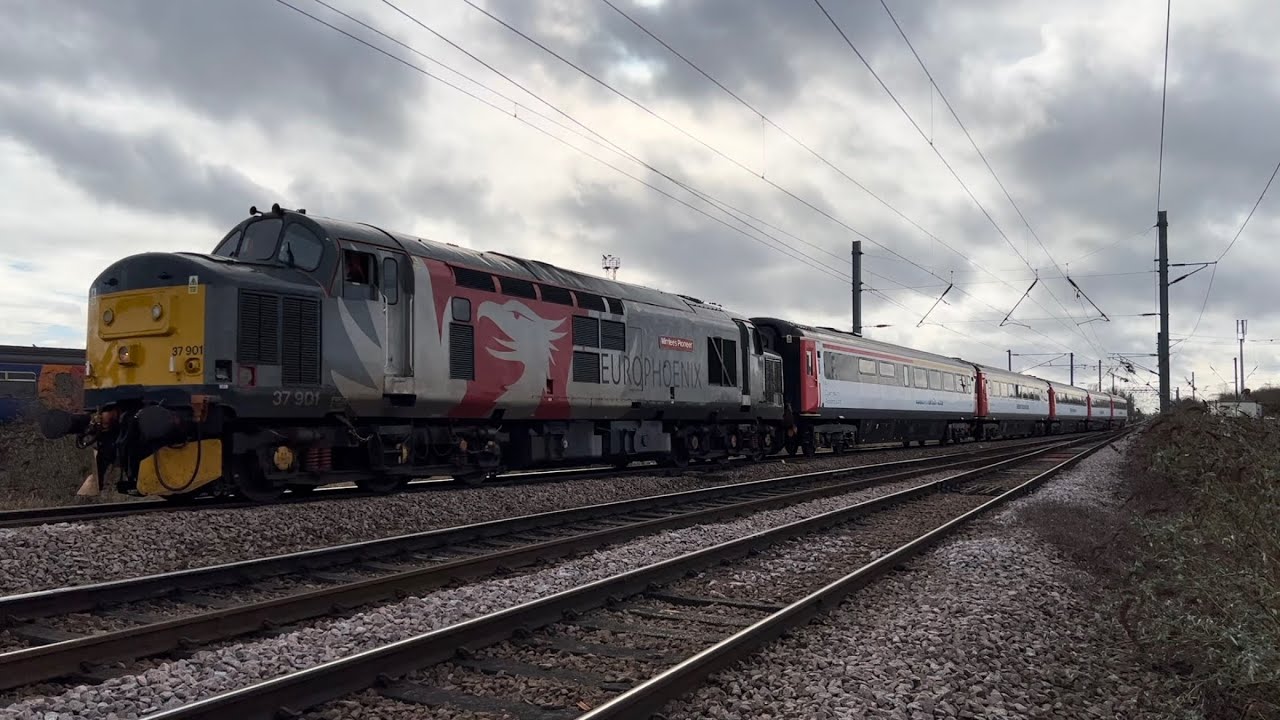 Europhoenix/Rail Operations Group 37901 rumbles past Queen Adelaide on ...