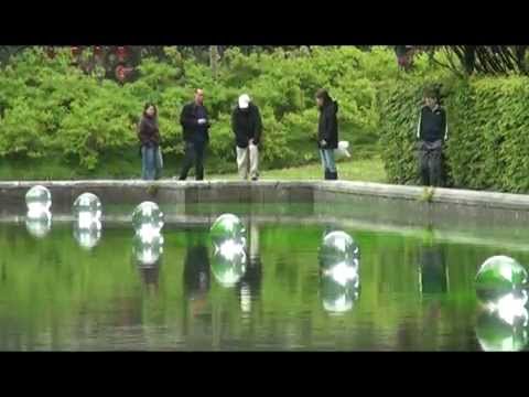 Follow the Water clip - YouTube