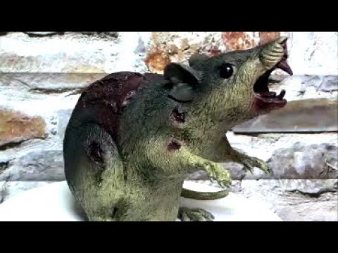 Wounded Rat - Scary Zombie Rat - Halloween Prop - By Loftus - YouTube