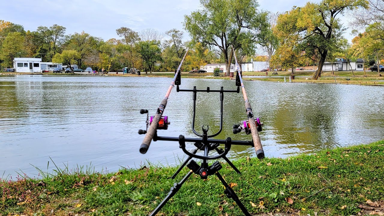🔴 Live Fall Carp Fishing At Hiway Springs - Fishing