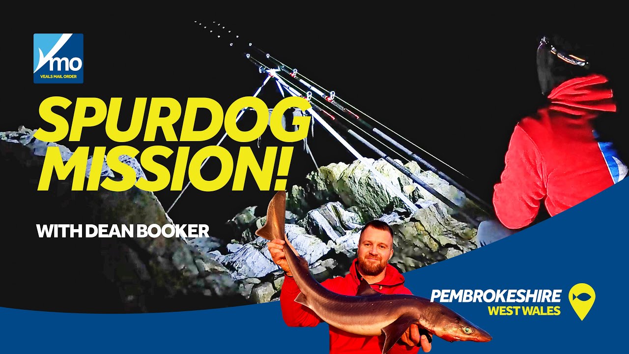 West Wales Spurdog Mission! With Dean Booker - YouTube