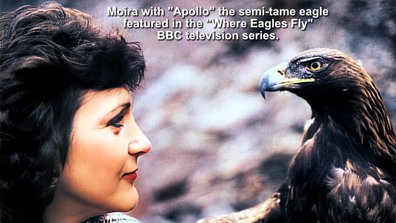 Safely Ashore: ©Moira Kerr. Vocals, Moira Kerr. - YouTube