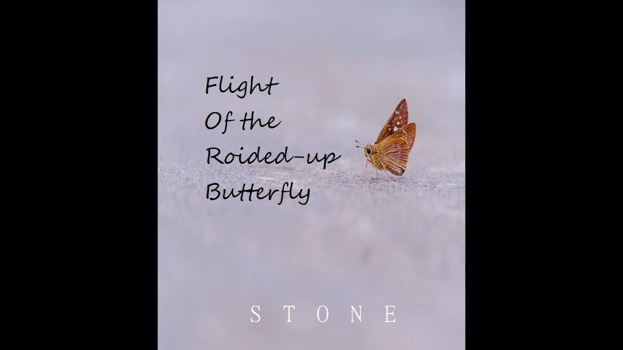 Stone -Flight Of The Roided-up Butterfly (instrumental) - YouTube