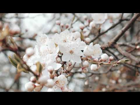 Mü’min (Gâfir) Suresi Meali | Sabır, Dua ve Allah’ın Yardımı