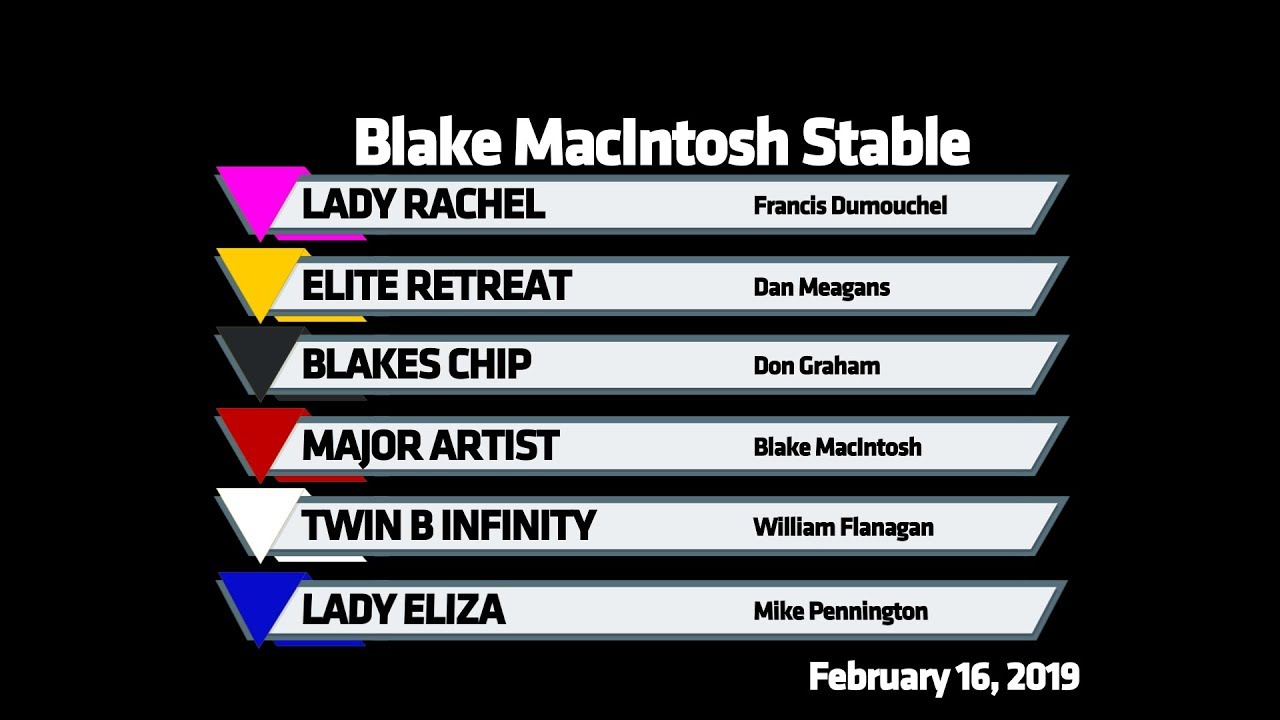 LADY RACHEL, ELITE RETREAT, BLAKES CHIP, MAJOR ARTIST, TWIN B INFINITY ...