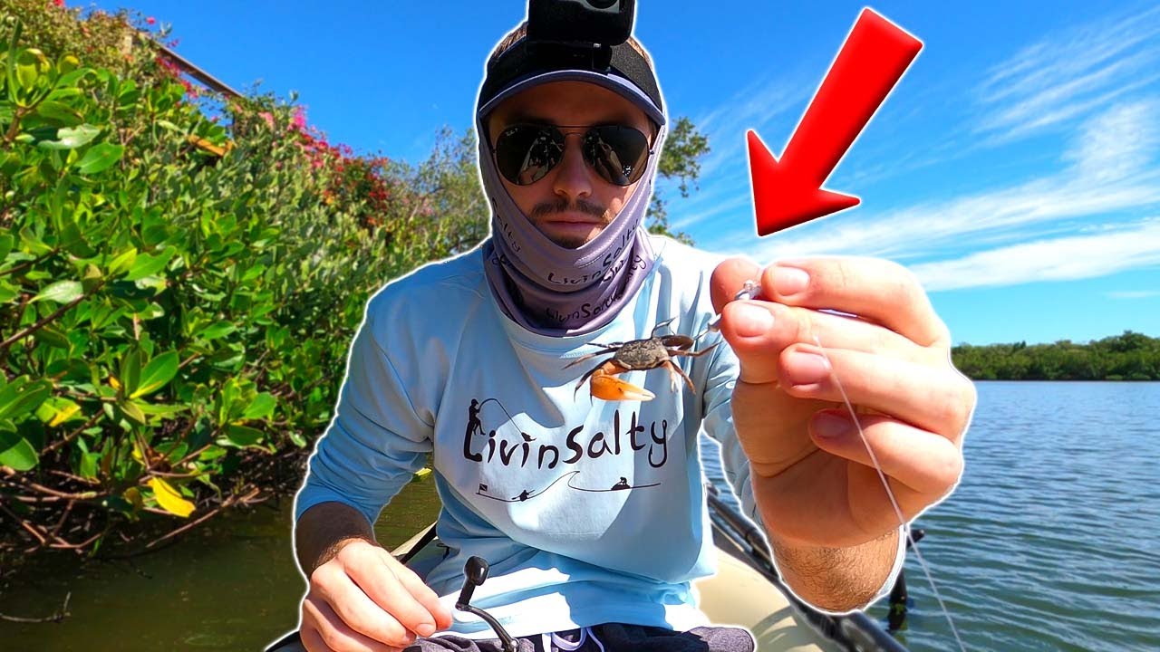 Fishing with LIVE FIDDLER CRABS to Catch Dinner - YouTube