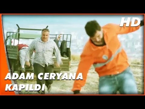 Çam Yarması | Hayrettin, Çalışanı Hastanelik Ediyor | Türk Komedi Filmi