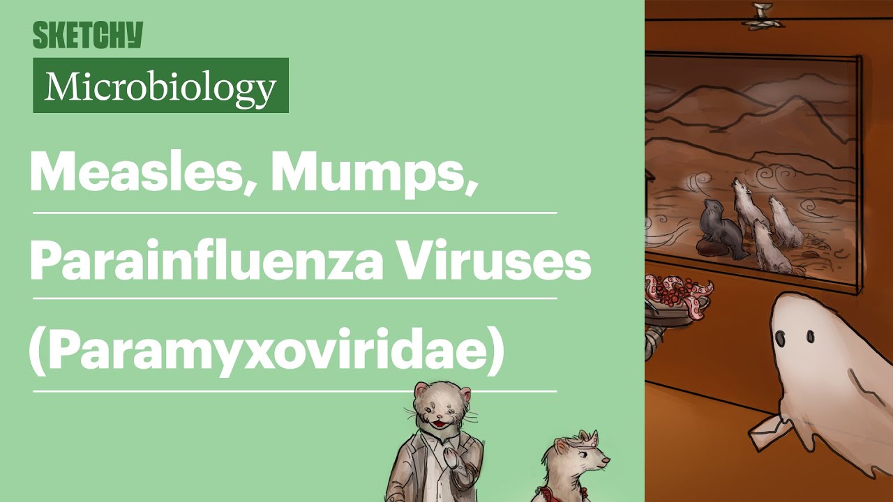 Measles, Mumps, Parainfluenza Viruses (Microbiology) | USMLE Step 1 ...