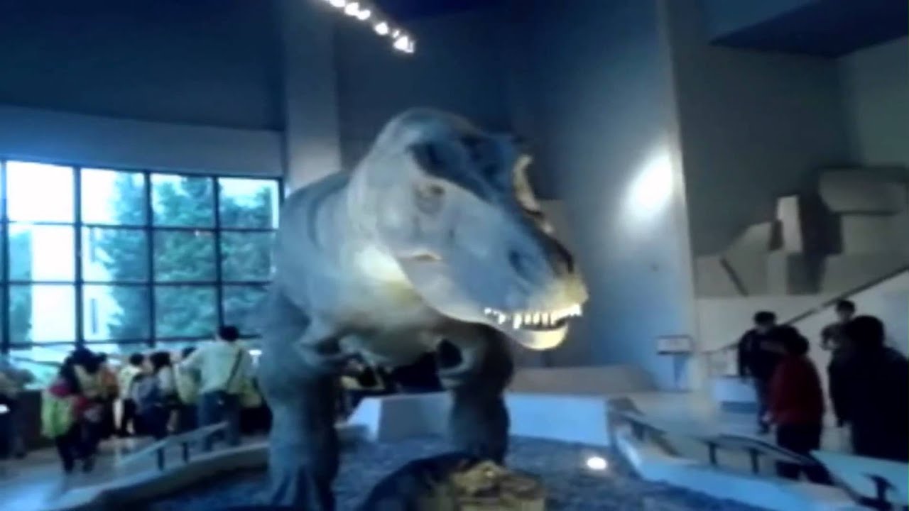 National Taiwan Science Museum - Central Taichung, Taiwan - - YouTube