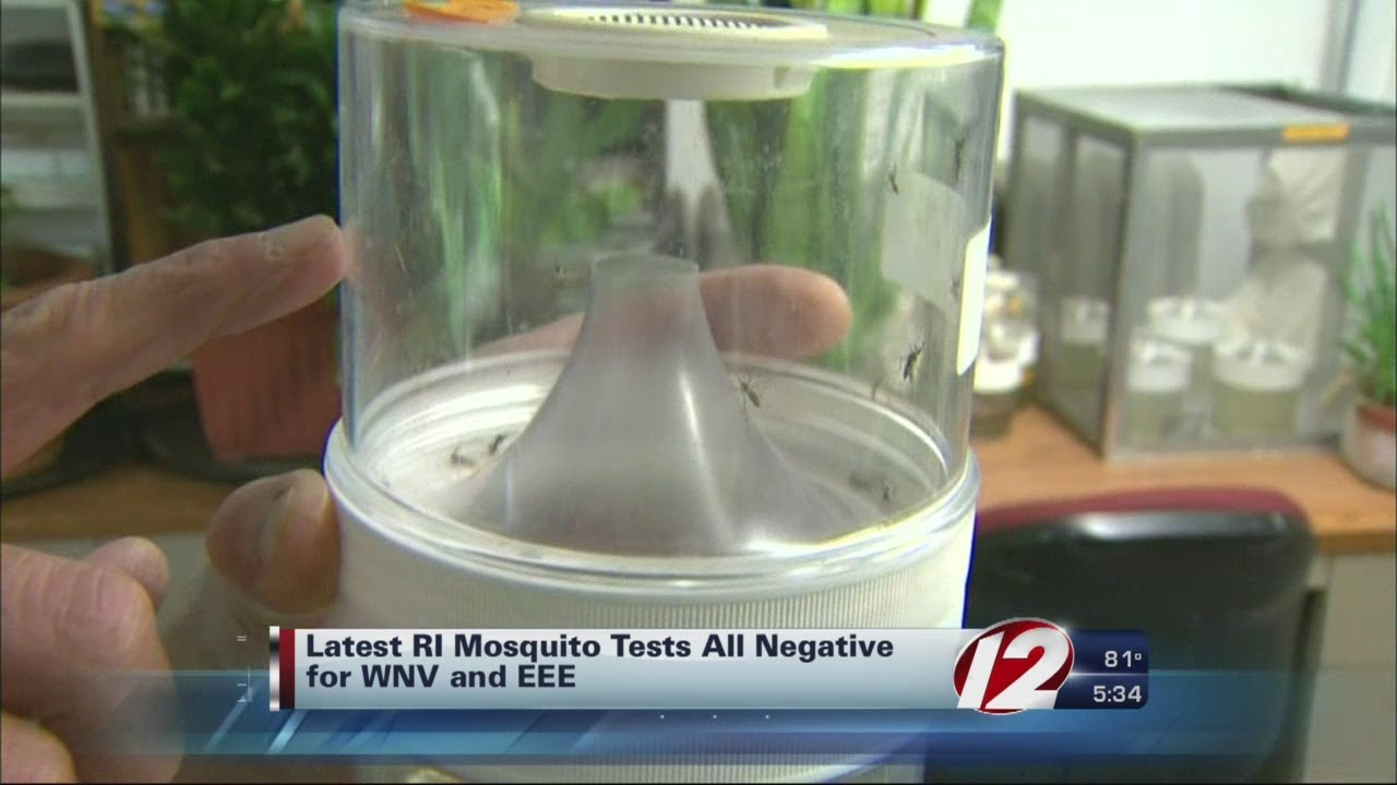 Latest tests show mosquitos negative for WNV and EEE - YouTube