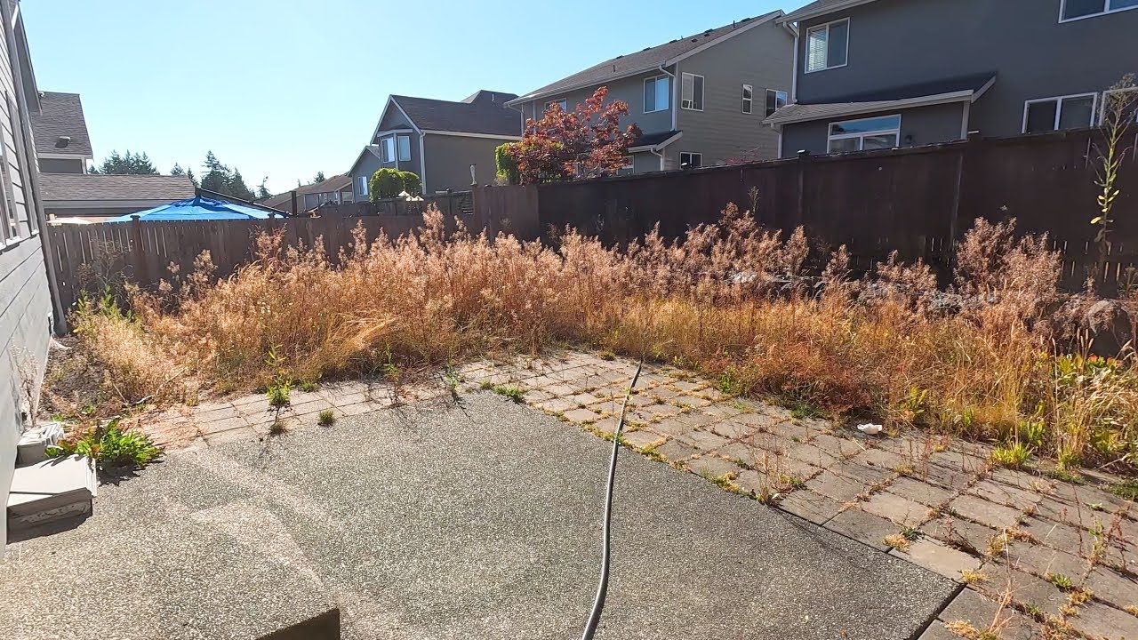 NEW CONSTRUCTION Landscaping Disaster Gets Cleaned-Up! - YouTube
