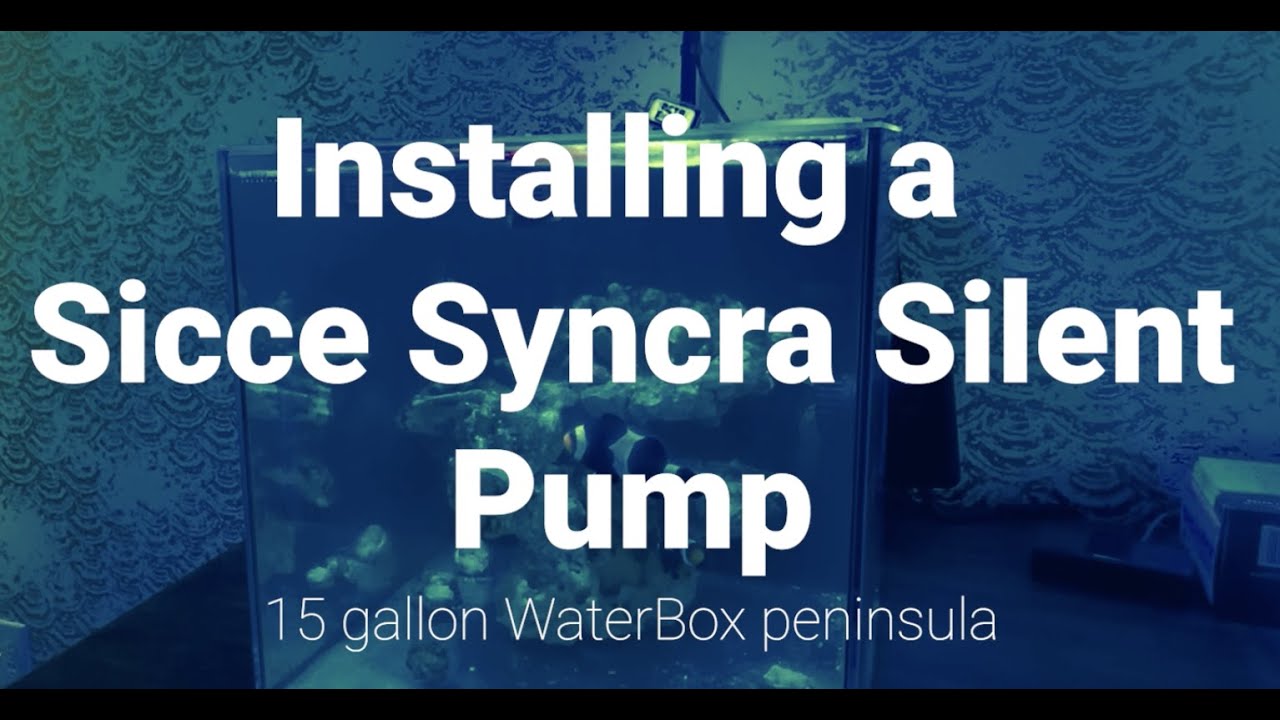 Installing Sicce Pump on 15 gallon Waterbox Aquarium - YouTube
