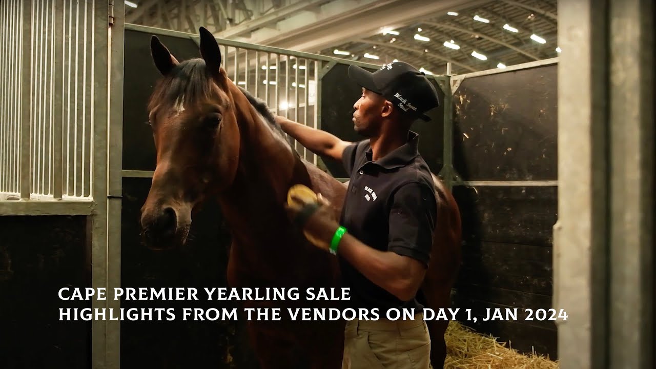 Cape Premier Sales Highlights from the Vendors on Day 1, Jan 2024 - YouTube