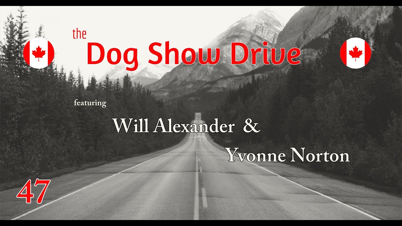 The Dog Show Drive - Canadian Edition Episode 47 - YouTube