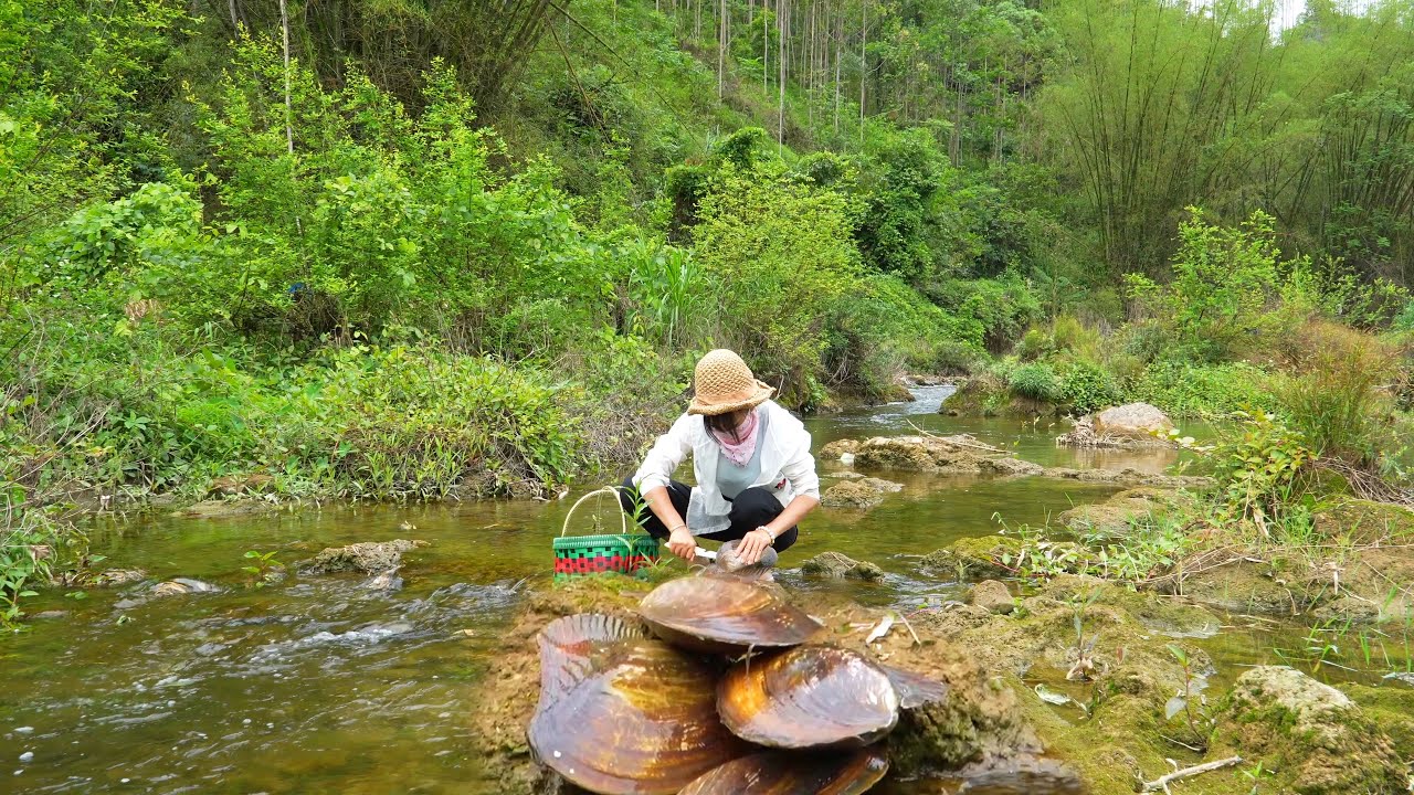 There are giant clams and oysters in the Old-growth forest. They are ...