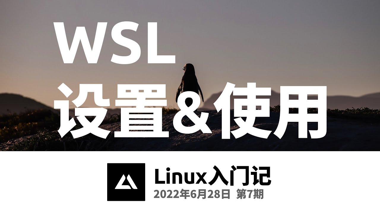 Linux入门记07，wsl的设置与使用 - YouTube