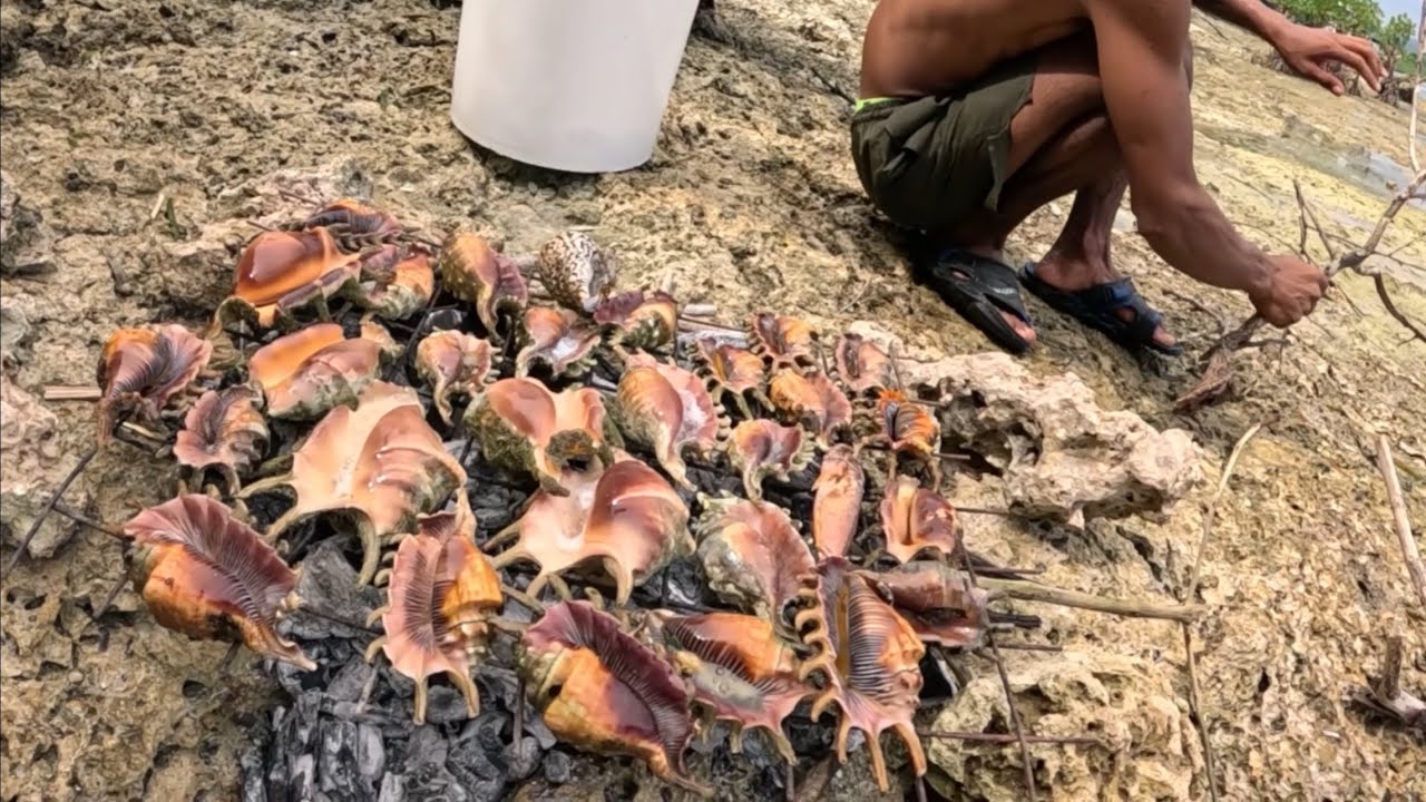 Catch ‘n grilled spider shell - YouTube