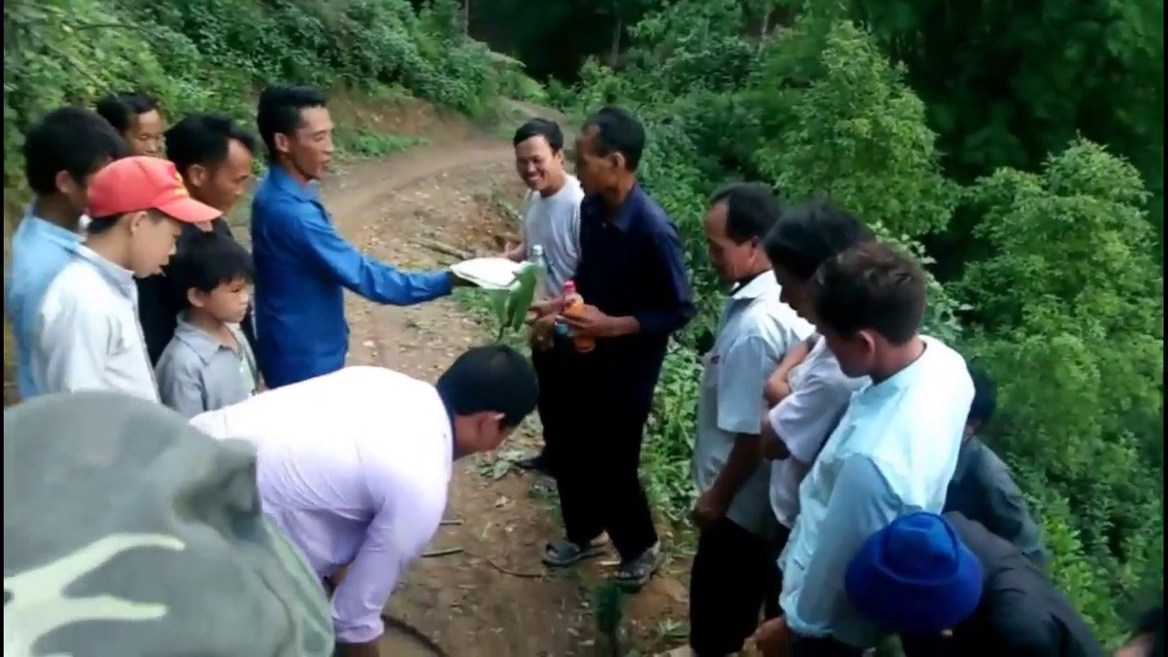 Tso plig Dov kauj vab tso txawj vas plig - YouTube