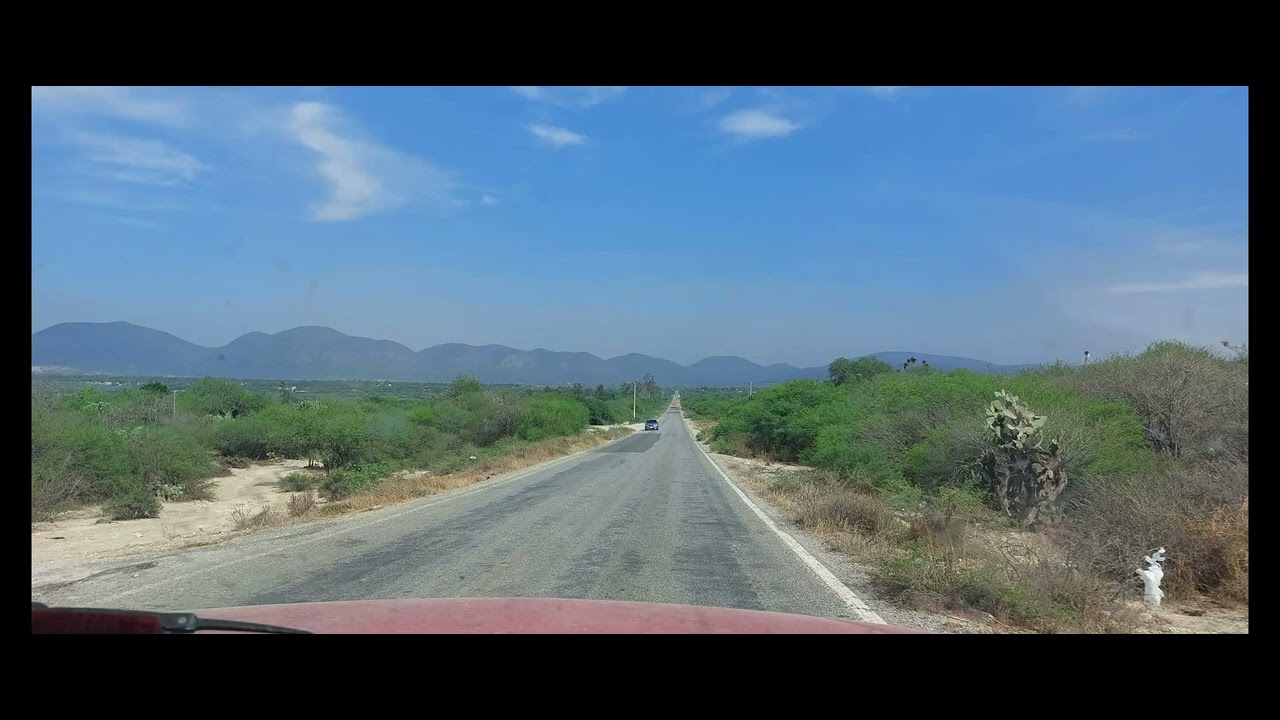 LA YEGUA CEBRUNA TORMENTA DEL NORTE - YouTube