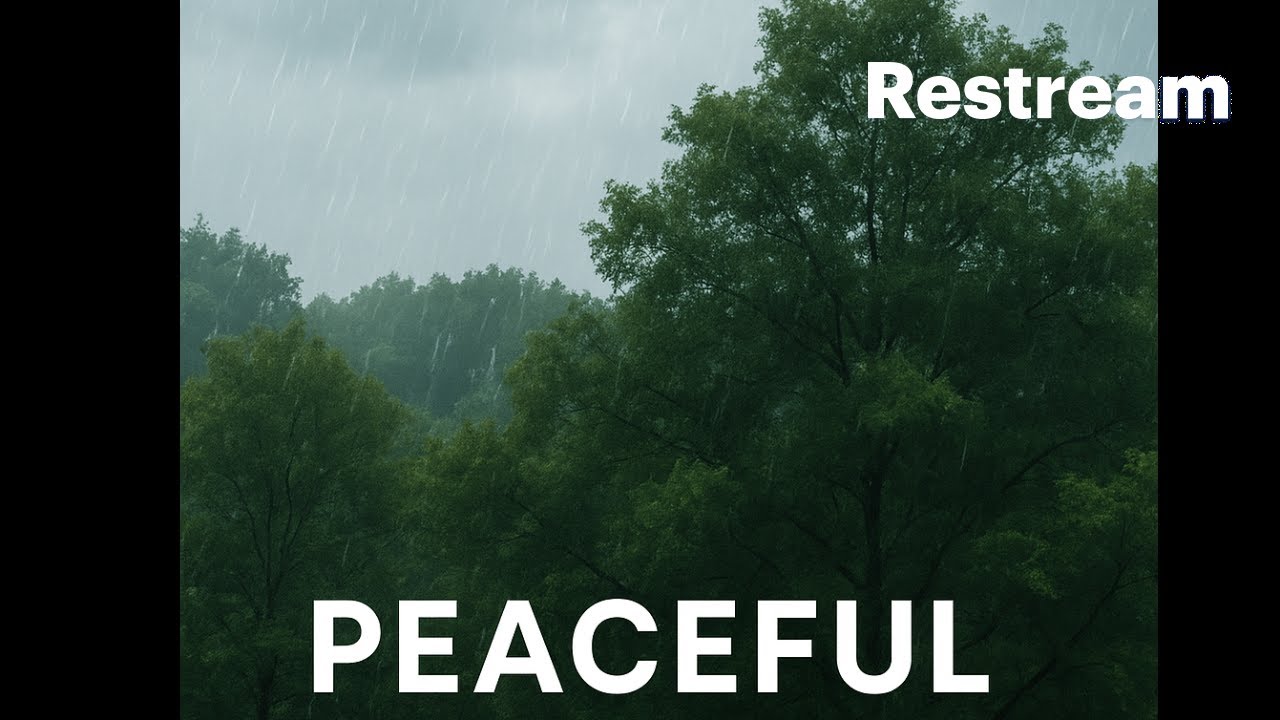 Relaxing Rainfall Outside 🌧️ | Peaceful Nature Sounds for Sleep. & My ...