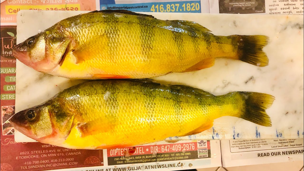 Fastest and best way to clean a perch boneless - YouTube