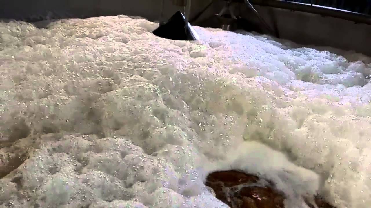 Steeping tank activity at the Malting Company of Ireland - YouTube