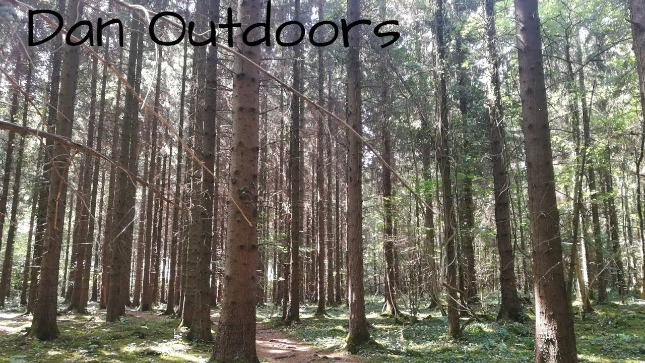 Slade Woods: A short forest walk - YouTube