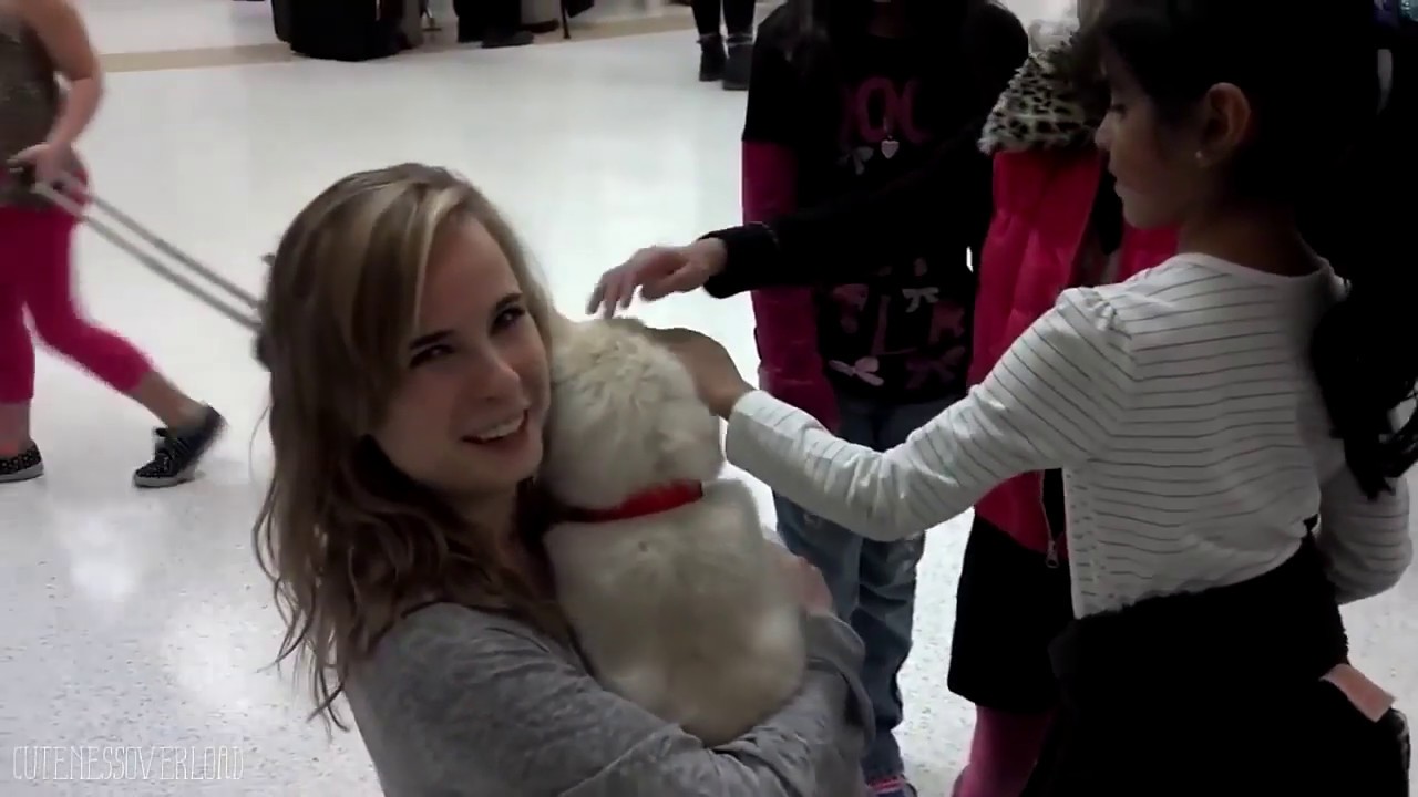 best puppy surprise compilation - YouTube