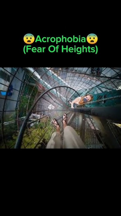 If This Video Scares You, Then You Might Have...😨Acrophobia (Fear Of ...
