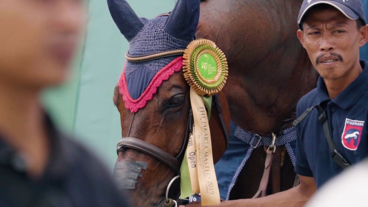 Equinara Horse Sports- Pulomas Masters Cup 2019 Highlights Reel - YouTube