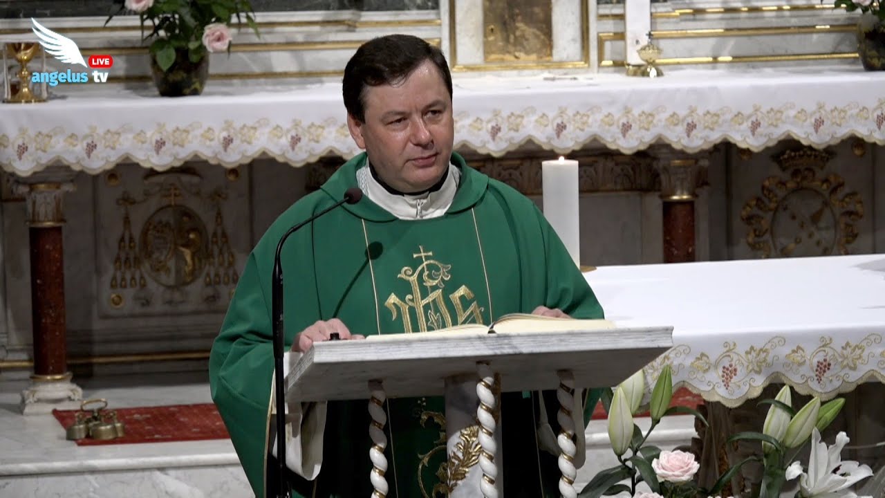 Sfânta Liturghie prezidată de Pr. Daniel Bulai în Catedrala "Sf. Iosif ...