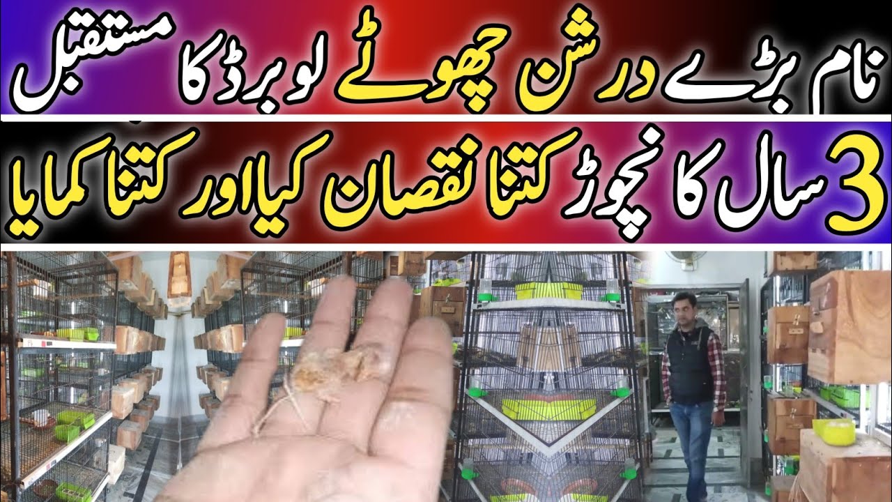 Tour Of Birds Breeding Setup/Farm | Visit Bird Breeding Setup | Bird ...