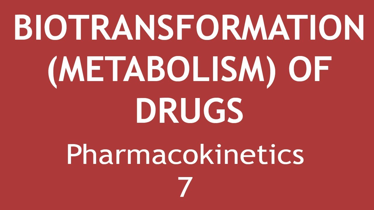 Biotransformation (Metabolism) of Drugs - Quick Overview ...