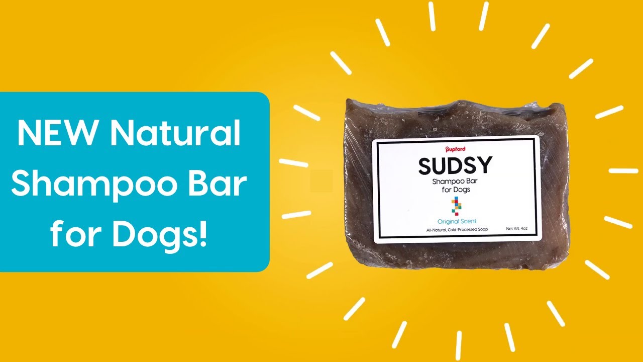 Sudsy – Shampoo Bar for Dogs (All-Natural, Repels Bugs, and Improves ...