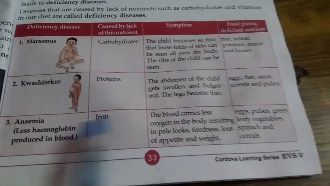 Class 5 Evs lesson 7- Not enough food (part 2) - YouTube