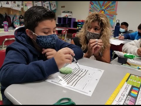 VVSD Teacher Spotlight- Dalizy Beltran, 5th Grade Teacher Skoff ...