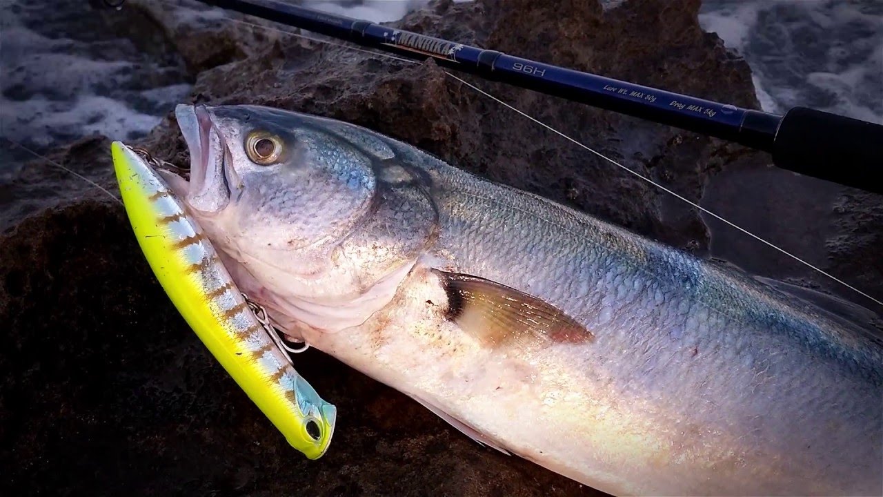 DUO Pencil Popper ''Funky Gill DM'' - YouTube