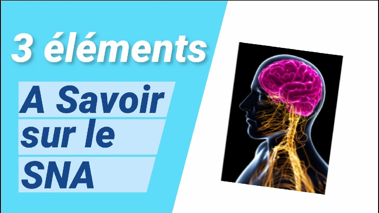 Comprendre le Système Nerveux Autonome par Life Medical Control - YouTube