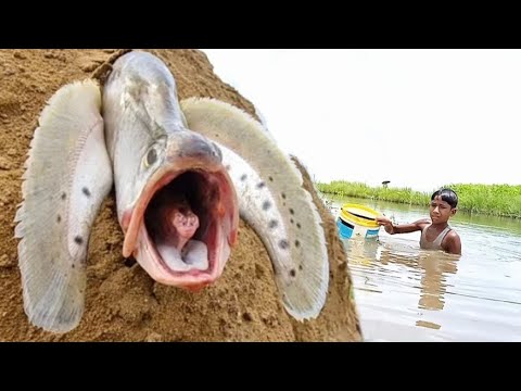 Amazing Daily Life Fishing Flowing Water River Dry Hill Underground Big ...