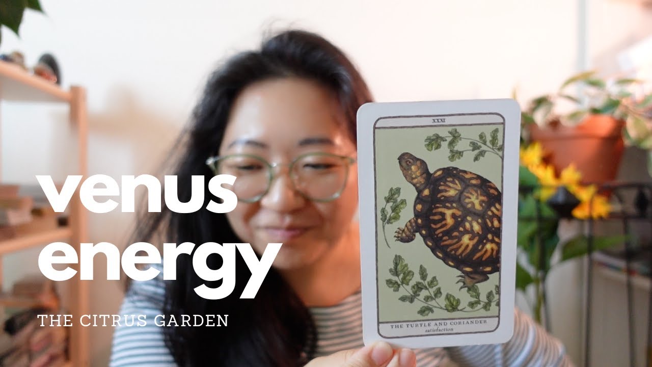 VENUS in TAURUS | collective energy oracle + tarot reading - YouTube