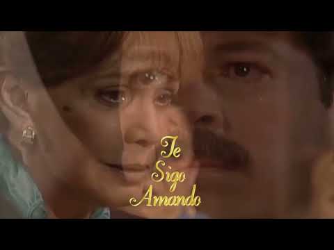 Te sigo amando - \