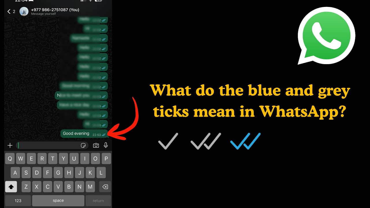 What do the blue and grey ticks mean in WhatsApp? - YouTube